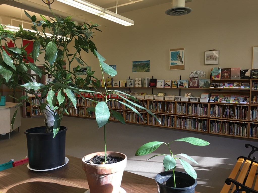 Library / Learning Commons